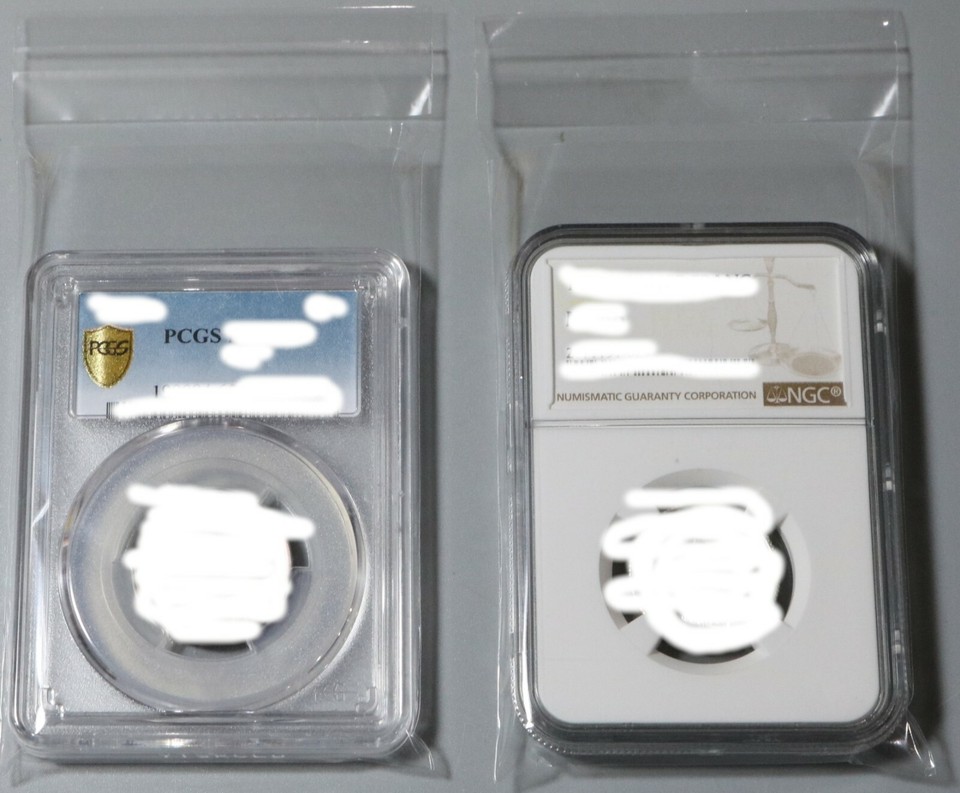 100 Coin Protector Sleeve Bags PCGS NGC Slabs Resealable Guardhouse ...