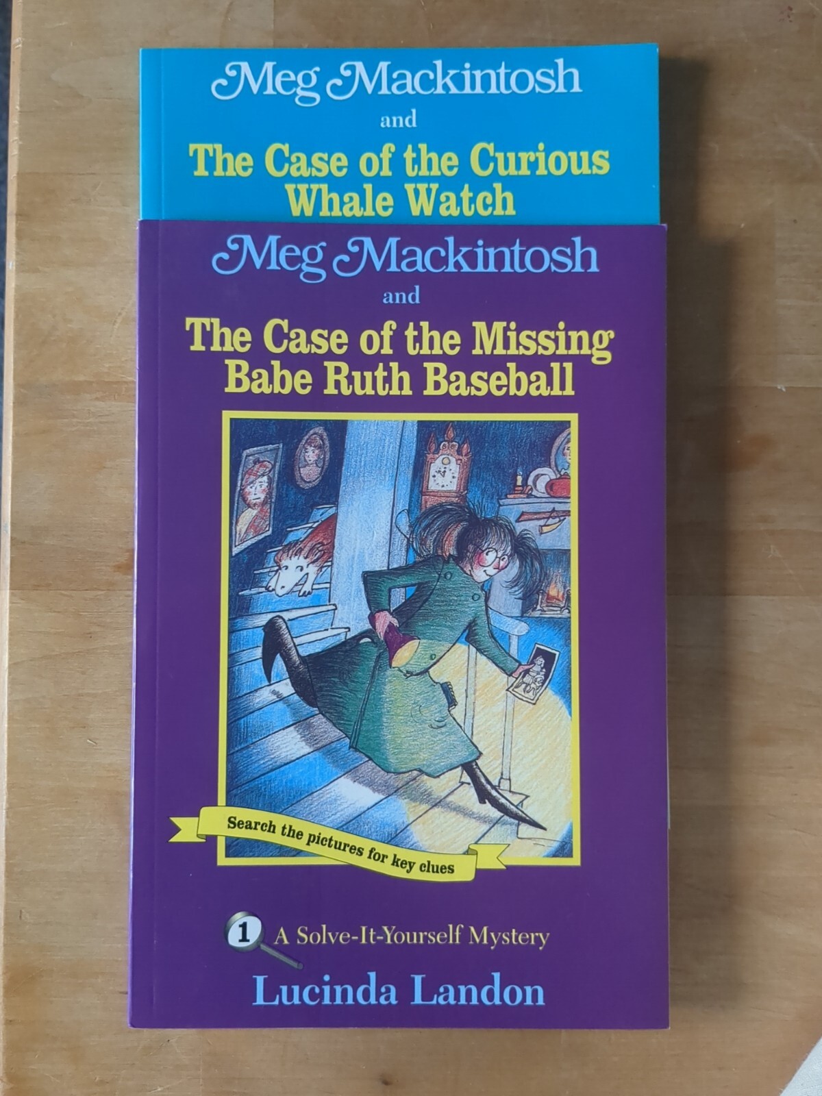 Meg Mackintosh Solve It Yourself 1 & 2 Missing Babe Ruth Baseball ...