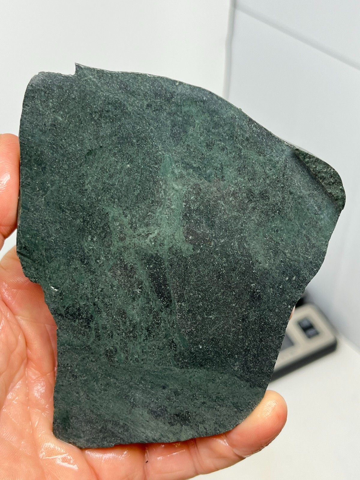 Washington state Jade slab for Cabbing Lapidary Carving Chakra Reiki | eBay