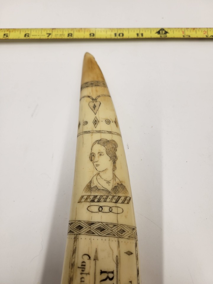 Vintage Scrimshaw Tusk 14 The Ship Regulus Captain James Hoad Resin ...