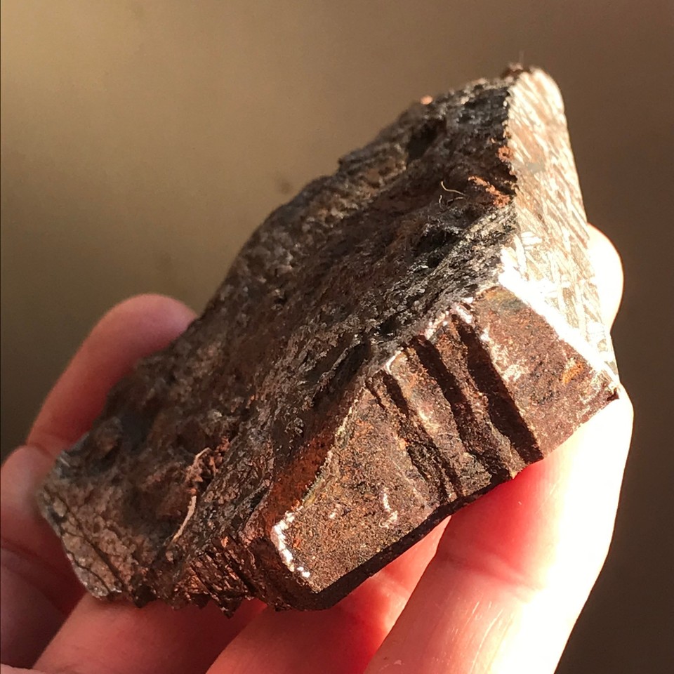 Natural Aletai Iron Meteorite 347.7 Grams Cut Slabs Etched Perfect ...