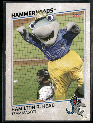 Hamilton R Head Mascot 2024 Jupiter Hammerheads Team Set | eBay
