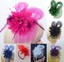 Spring Racing Race Party Melbourne Cup Feather Fascinator Headband ...