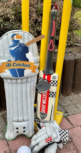 Gray Nichols Thunder Shockwave VR IB Cricket bat For Meta Oculus Quest ...