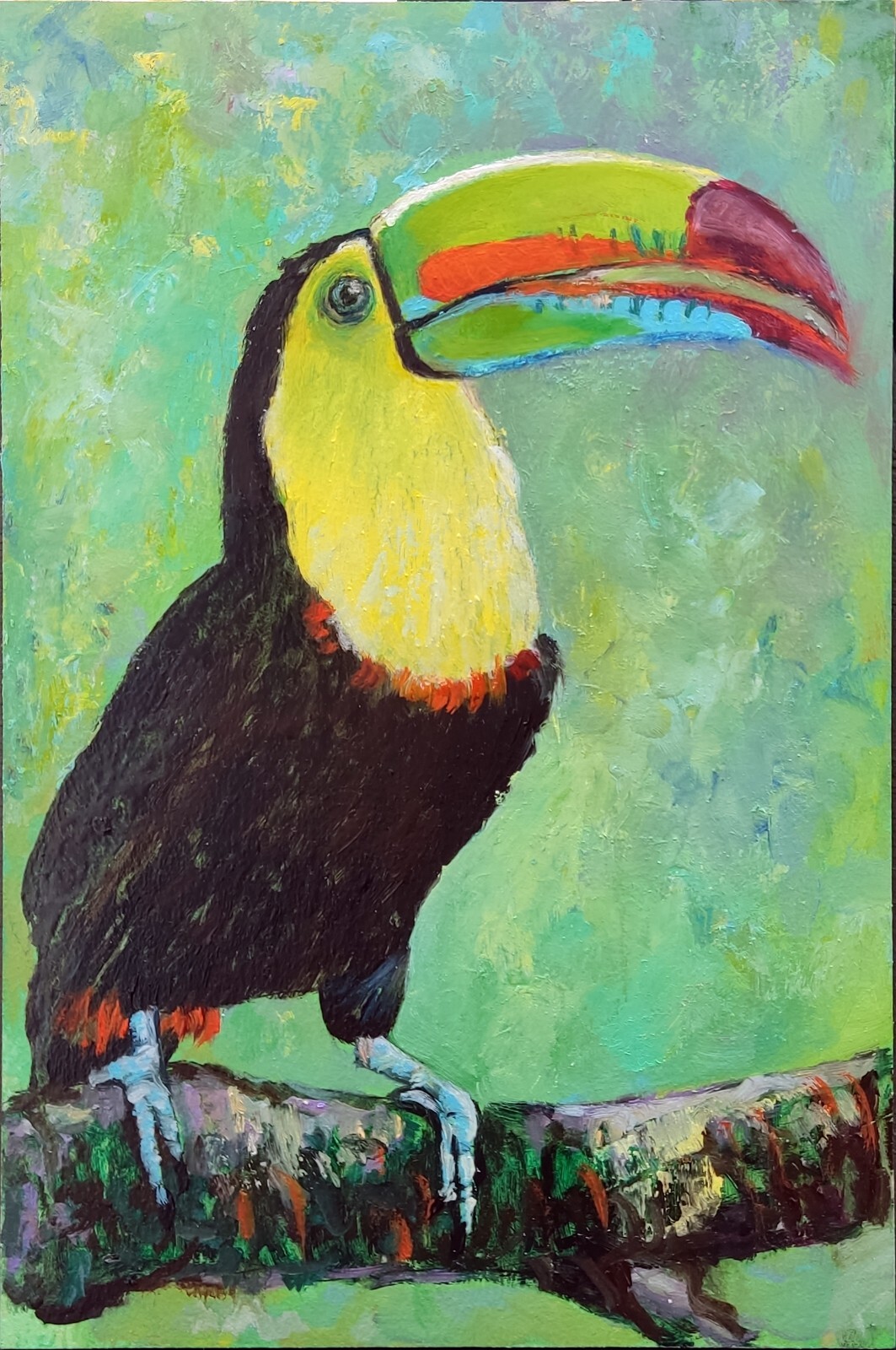Toucan Oil Paintings