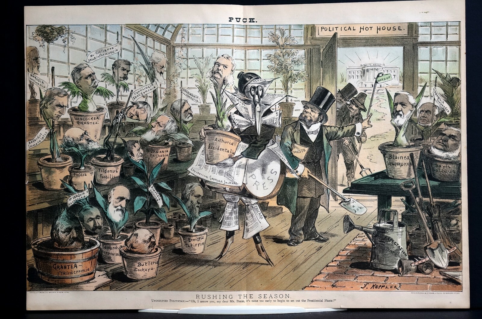 Political HOT HOUSE 1882 PRESIDENTIAL PLANTS Blaine Arthur Thurman ...