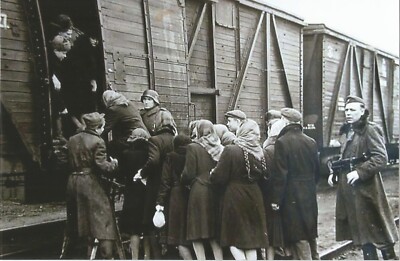 WW II German Photo --- Jewish Concentration Camp Train ... | eBay