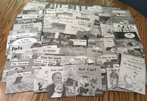 LOT OF 129 FOUNTAS & PINNELL LLI TAKE HOME BOOKS / GREEN SYSTEM / FIRST ...