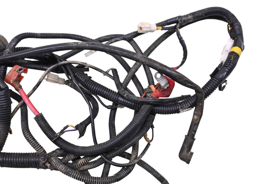 06 Can-Am Rally 175 Wire Harness Electrical Wiring Bombardier | eBay