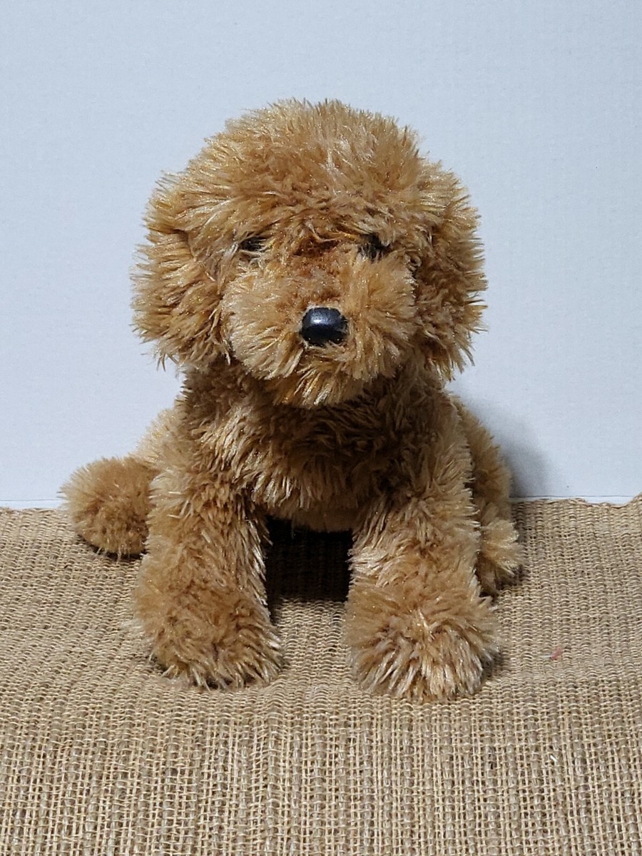 Toy Labradoodle