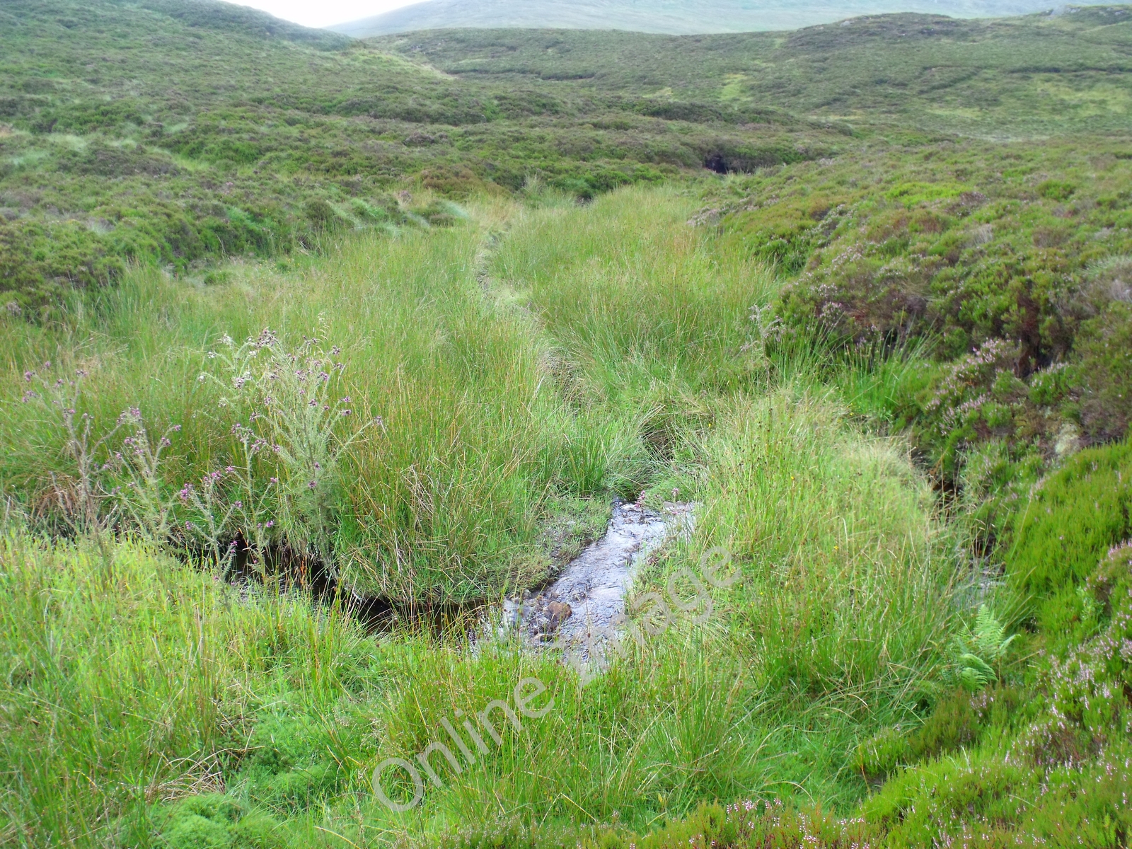 Photo 12x8 High in the course of Allt Crioch in Loch Ard Forest near ...