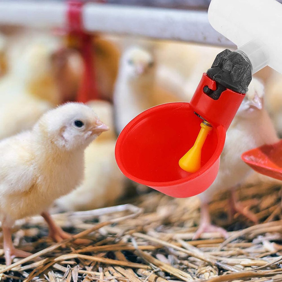 12X Automatic Cups Water Feeder Drinker Chicken Waterer Poultry Chook ...