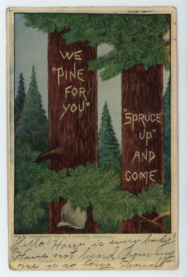 1908 Pine For You Spruce Up Tree Forest Humor Pun Leota Way Antique ...