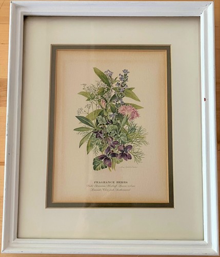 Anne Ophelia Dowden Fragrance Herbs Floral Signed Print | eBay