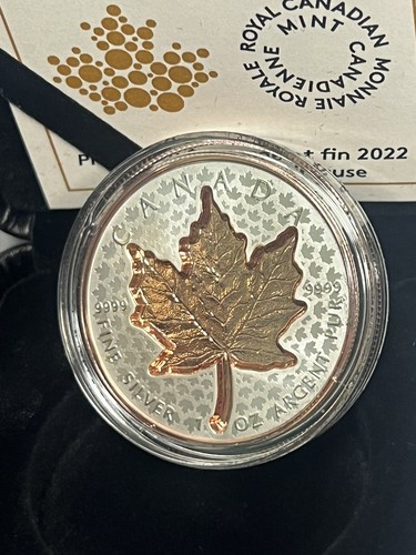 2022 Canada $20 Fine Silver Coin - 1-oz Silver Maple Leaf SML .999 | eBay