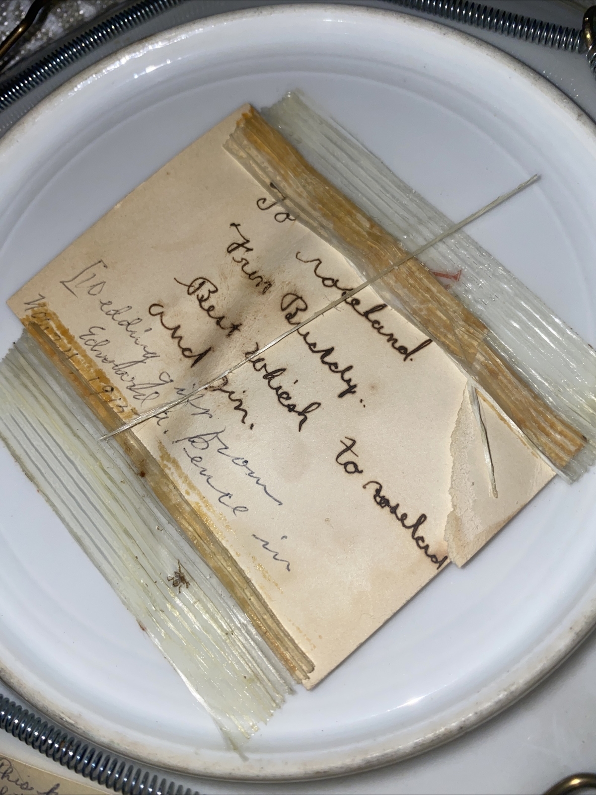 T. Luc Early Limoges Hand Painted Apples Signed Plate Wall Hanger ...