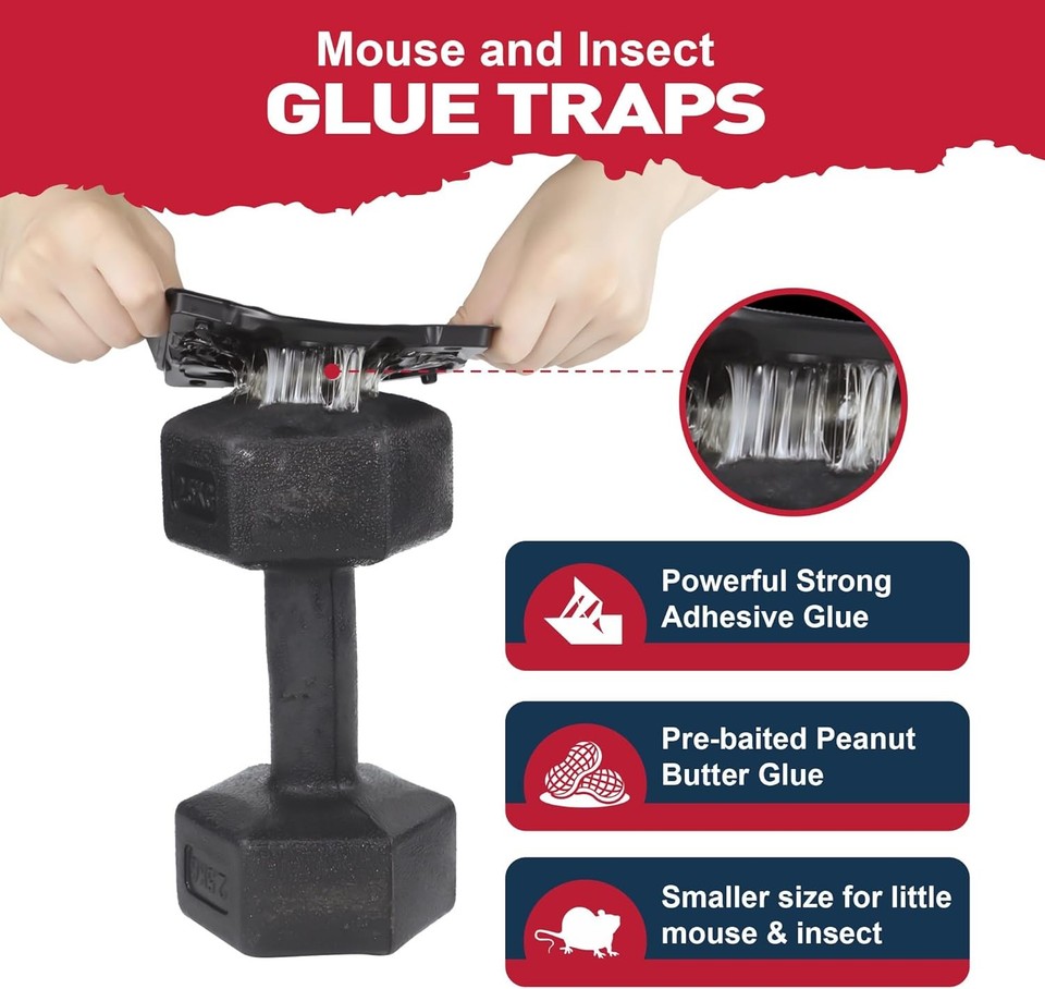 Mouse & Insect Traps 12 Pack, Heavier Sticky Traps with Non-Toxic Glue ...