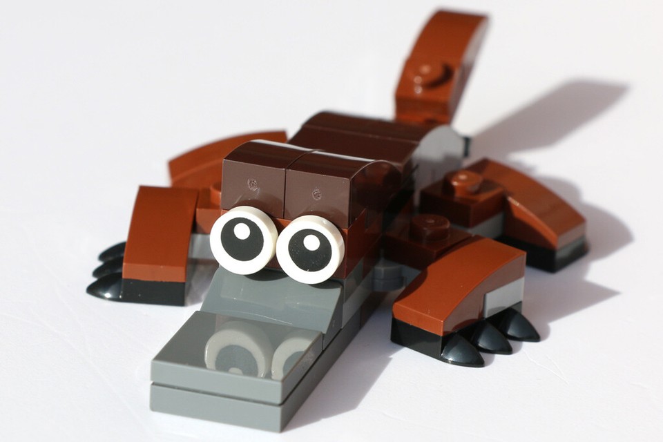 Lego Platypus Monthly Build 40241 Polybag BNIP 5702015867030| eBay