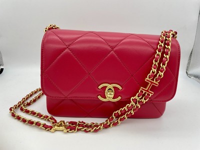24S CHANEL RARE Classic Seasonal Mini Flap Bag Decorative CHANEL Chain ...