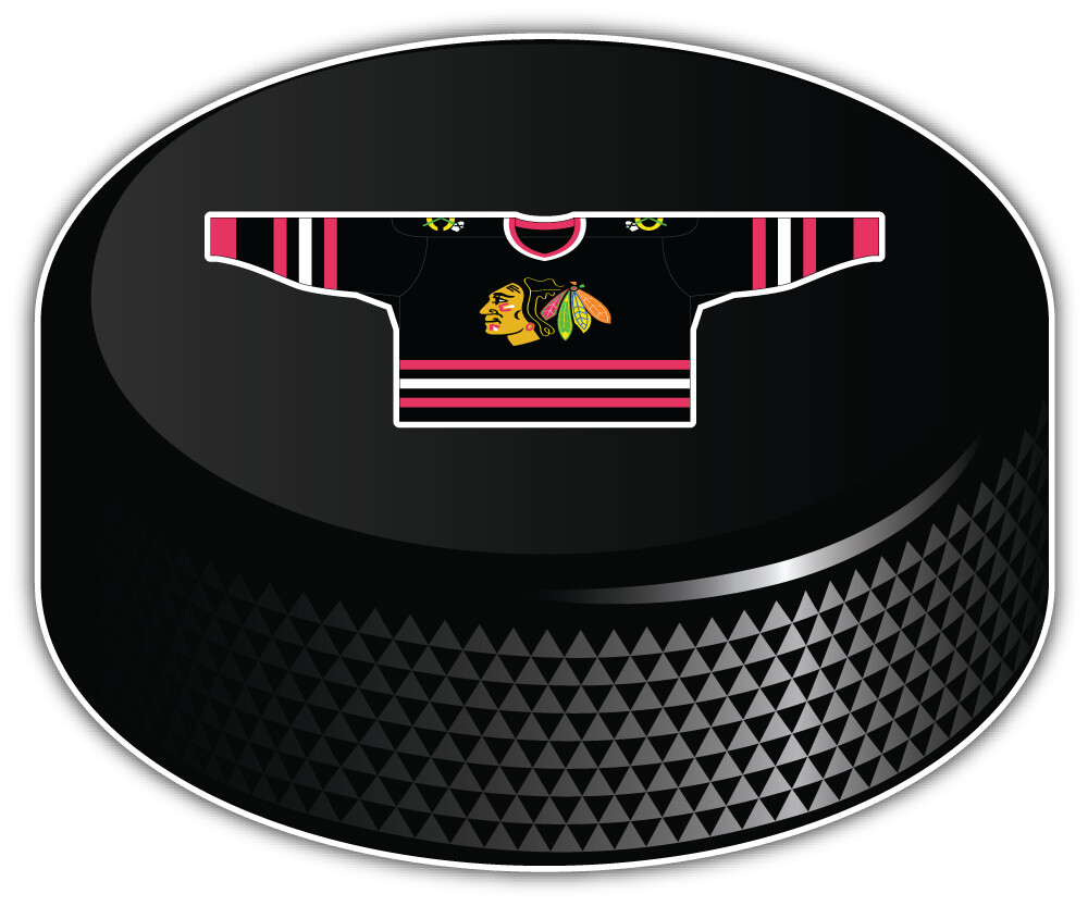 Chicago Blackhawks NHL Hockey Sport Logo Car Bumper Sticker Decal ...