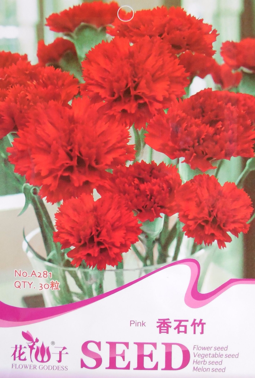 30 Seeds Red Carnation Seeds G116, Home Gardening Seeds | eBay