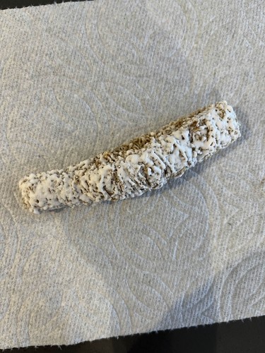 Freaky Ass Mini Wheat - Anomalous Cereal, Brand New, Roughly 3-5 Wheats ...
