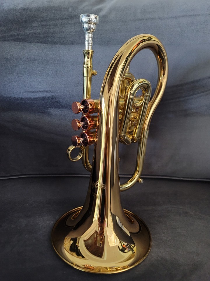 CarolBrass Pocket Flugelhorn / Taylor Phat Puppy - 2025 Polished ...