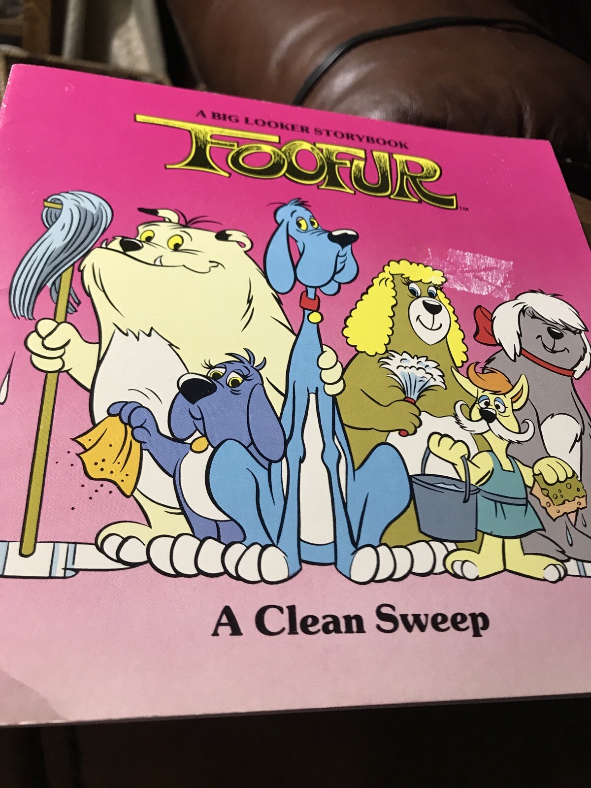 A Clean Sweep: Foofur Storybook by Teitelbaum, Michael 871352311 | eBay
