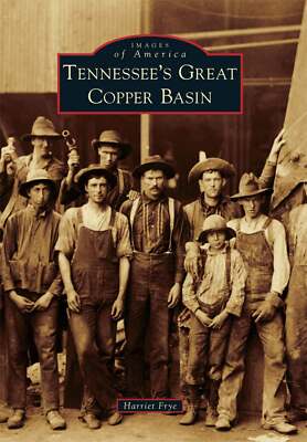 NEW Arcadia Publishing Tennessee's Great Copper Basin, TN 9781467124942 ...