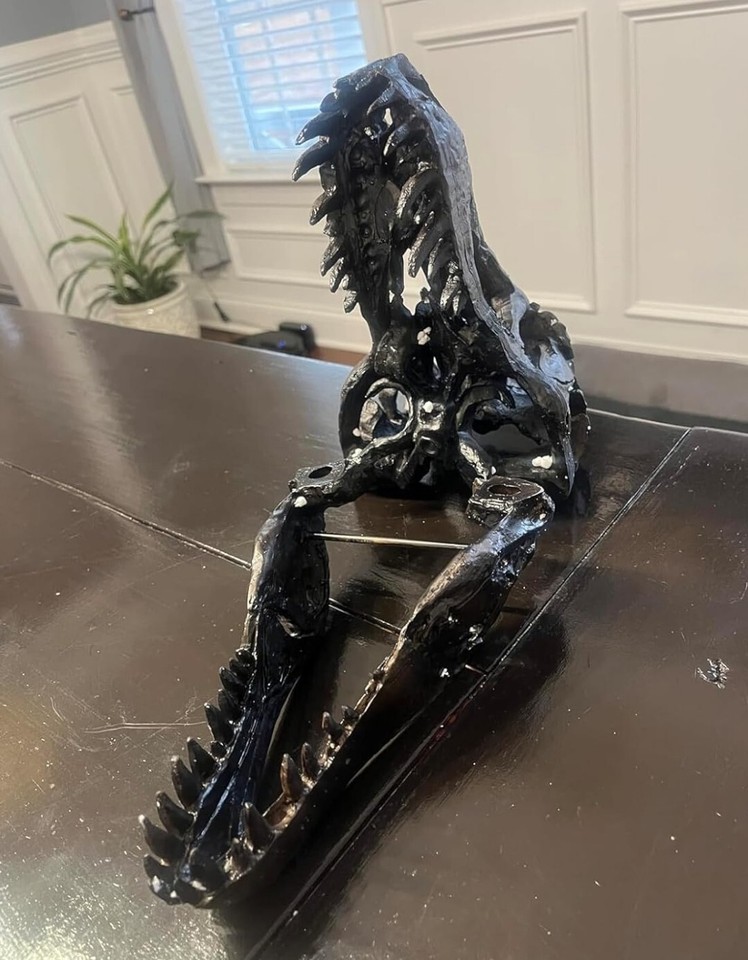 Realistic T-Rex Dinosaur Skull High Definition 1:10 Resin Replica With ...