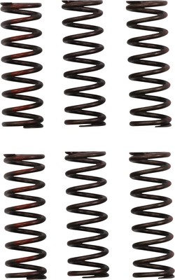 Pro Circuit Motorcycle Motorbike Clutch Spring Set For Honda CRF 450 R ...