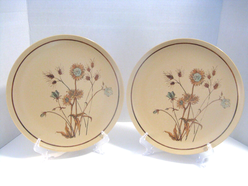 Vintage Texas Ware by PMC (Set of 2) G-3 Melamine 10" Dinner Plates | eBay