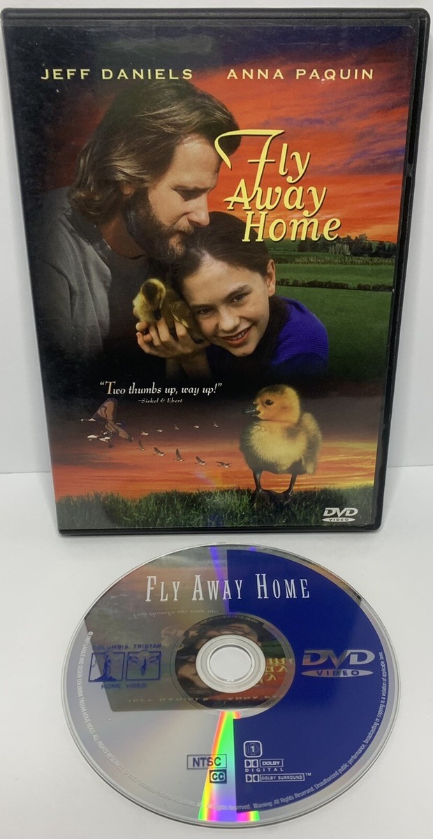 Jeff Daniels Fly Away Home