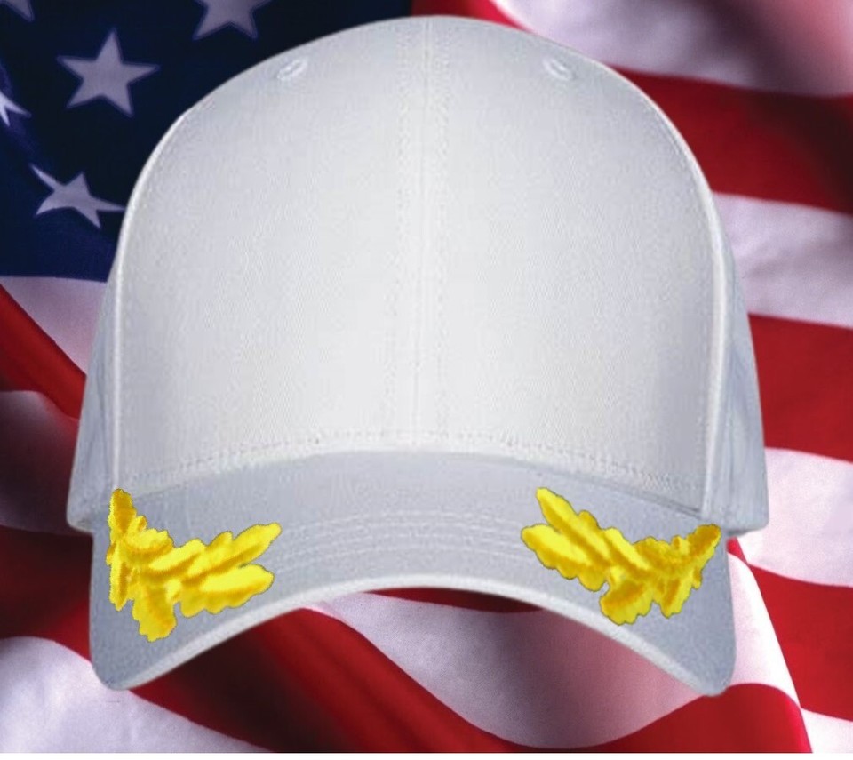 MOS 5831 CORRECTIONAL SPECIALIST HAT PATCH CAP PIN UP VETERAN WOW | eBay