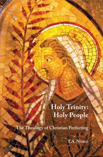 Holy Trinity : Holy People : The Theology of Christian Perfecting by T ...