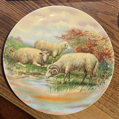 Three Crown Germany - Sheep Dinner Plate - 10.5" | eBay