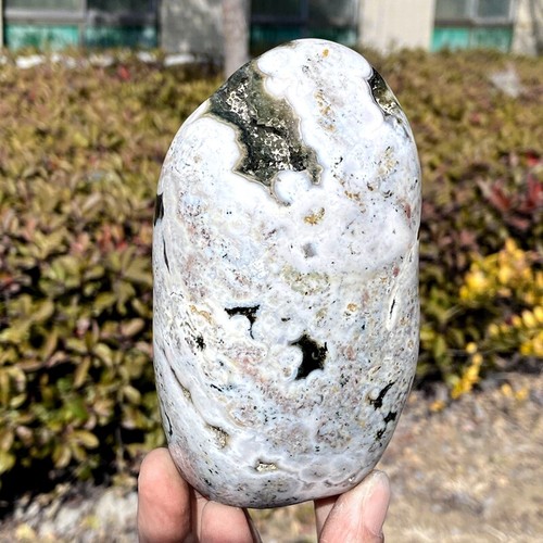 2.31LB Top natural Marine jasper quartz crystal free form mineral ...