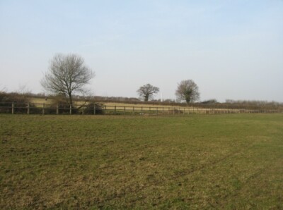 Photo 6x4 Recovering grazing land Chineham Lodge Farm. The public ...