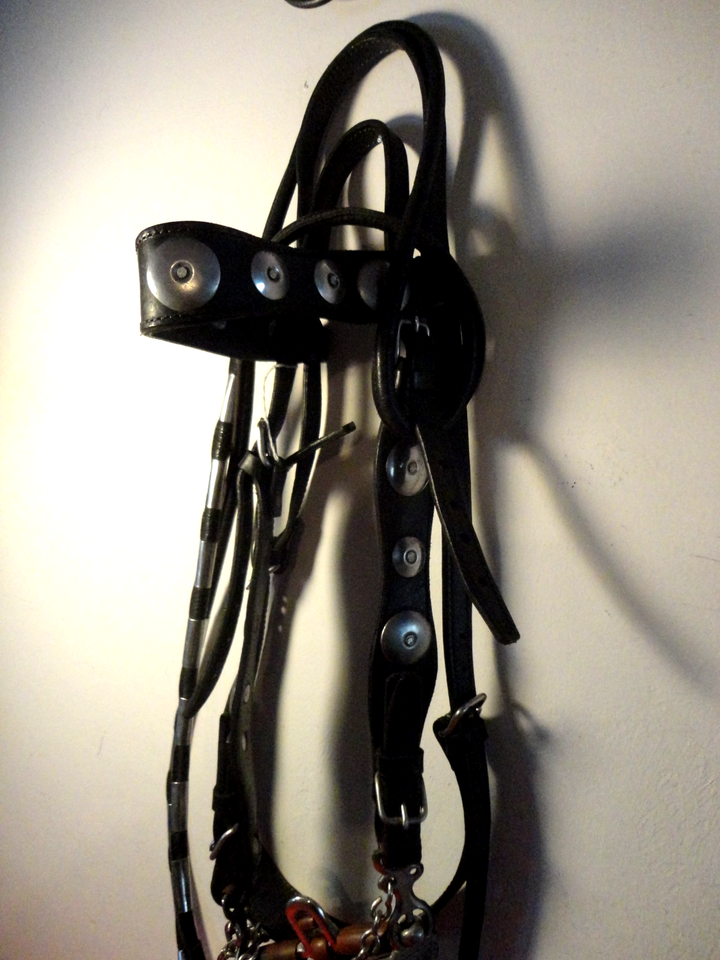 Vintage Black Leather Western Bridle Reins Bits and Breast Plate with ...
