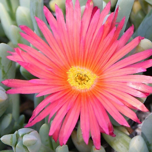 Bobbi's Found Treasures | eBay Stores