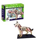 Tedco 4D Vision Dog Anatomy Model | eBay