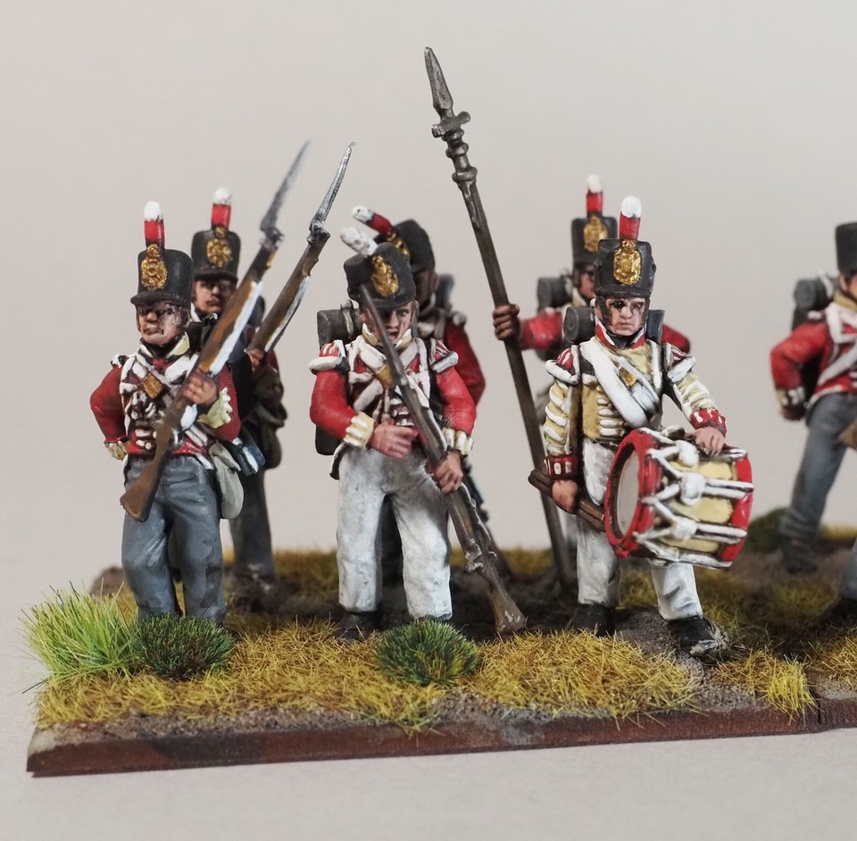 24 British Line Infantry 28mm (Napoleonic) Perry Miniatures Blackpowder ...