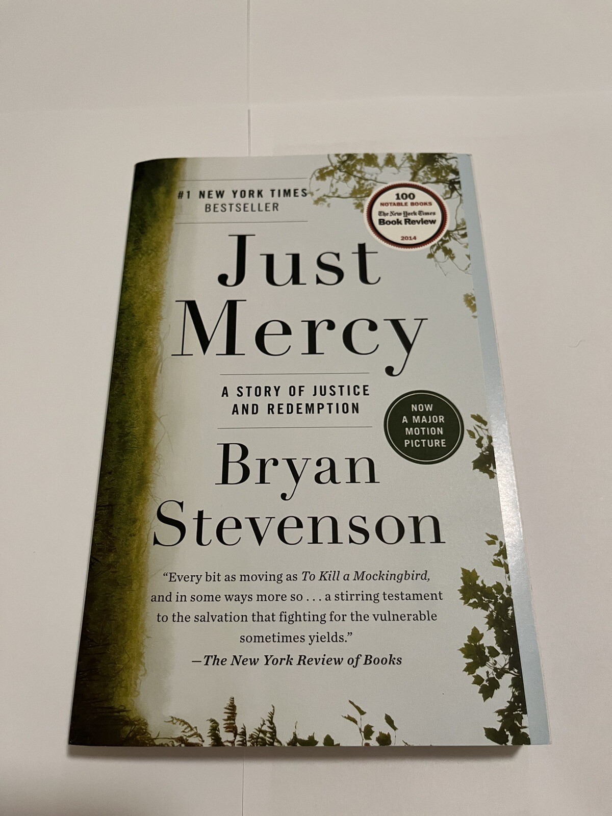 Just Mercy: A Story of Justice and Redemption by Stevenson, Bryan ...