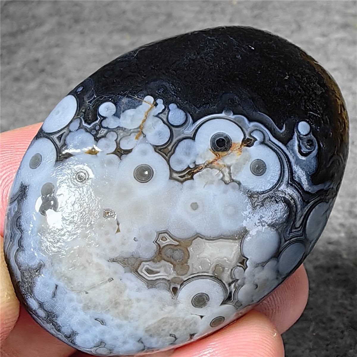 49g Bonsai Suiseki-Natural Gobi Agate Eyes Stone-Rare Stunning Viewing ...