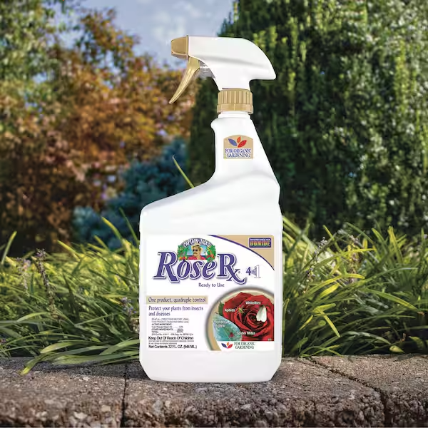 Captain Jack's Rose Rx 4-in-1 RTU 32oz Fungicide Insecticide Miticide ...