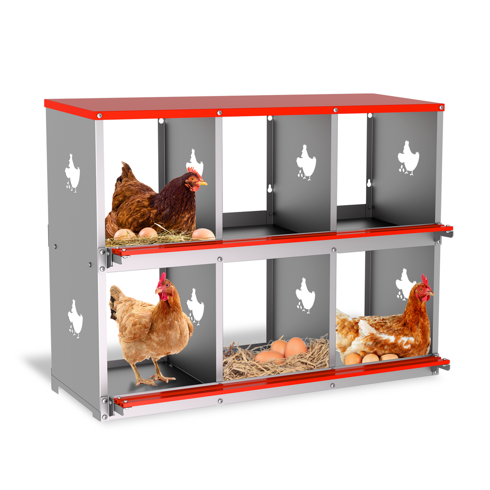 Chicken laying box 6-hole hen laying box Non-rolling laying box for ...