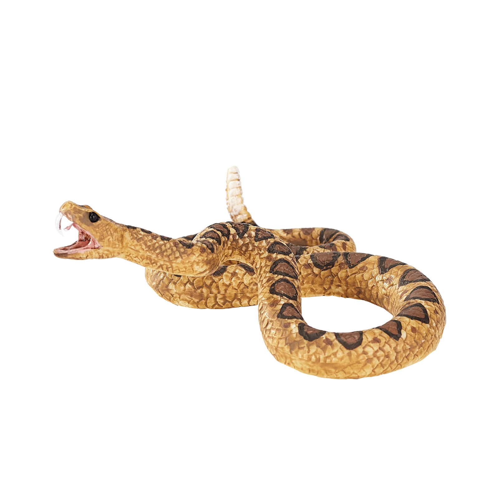 .Mojo RATTLESNAKE Wild zoo animals play | Grelly UK