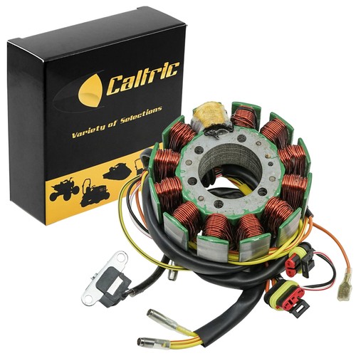 12 Pole Stator for Polaris Sportsman 600 2003-2005 (Except twin w/18 ...