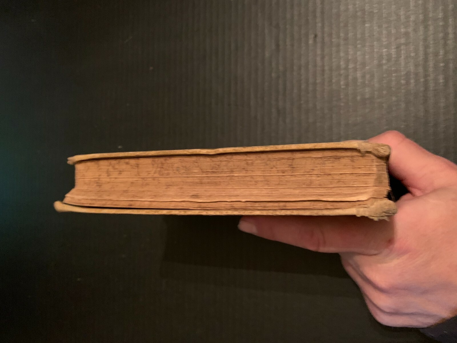 1884 New National Fifth Reader by Charles J Barnes and J Marshall ...