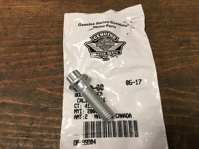 44160-00 BREMSSATTEL SCHRAUBE CA.10MM AB BJ. 2000 SOFTAIL BIG TWINS ...
